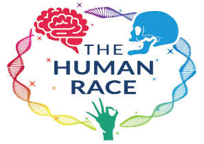 Educational Team-Building The Human Race - Eventology Canada